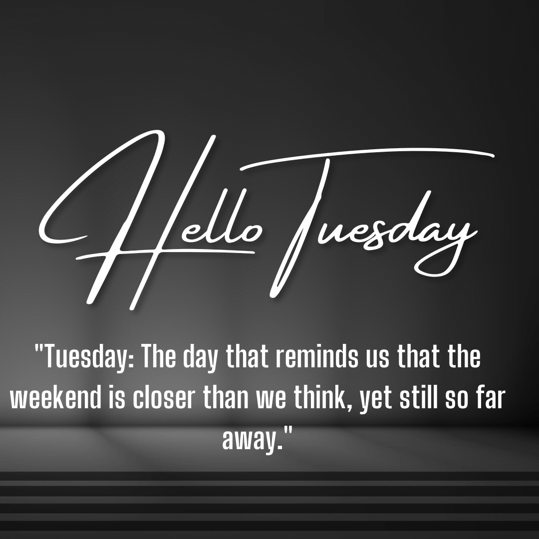 Funny Tuesday Quotes - Quote Wonders