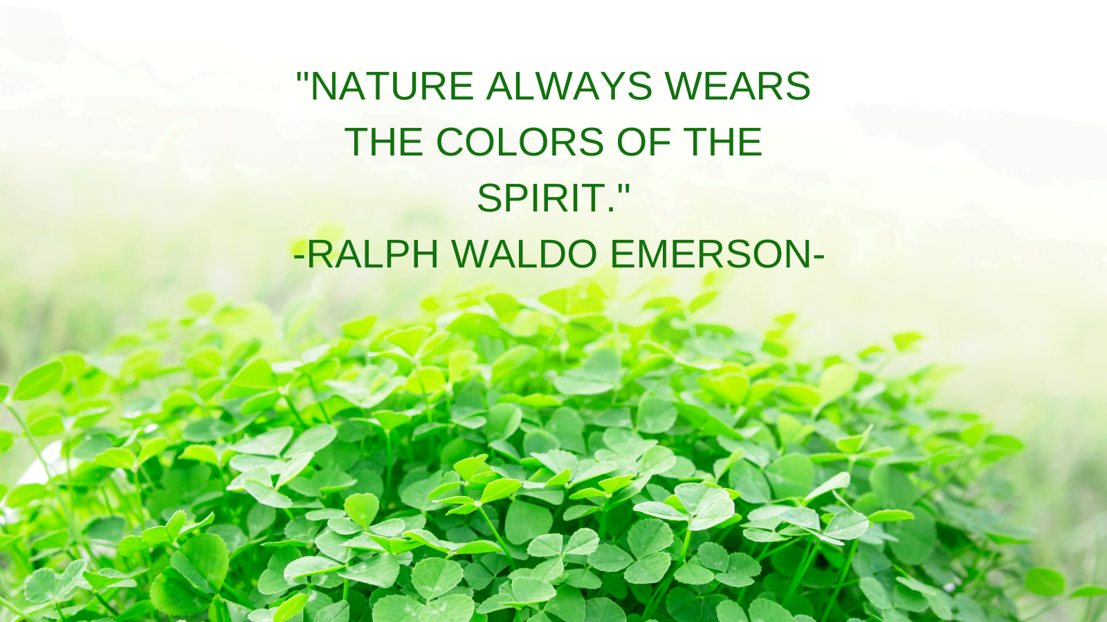 Quotes About Nature - Quote Wonders