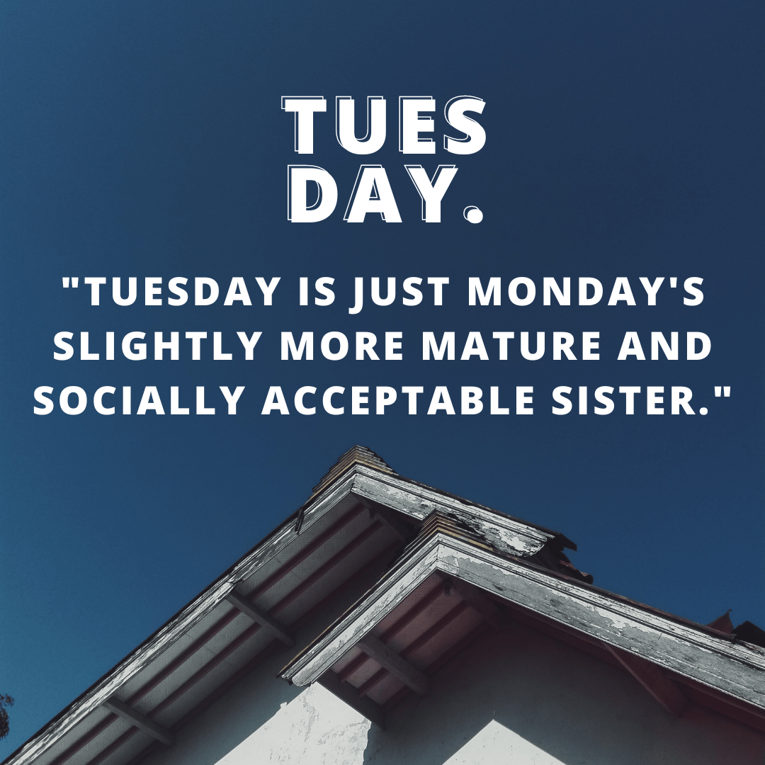 Funny Tuesday Quotes - Quote Wonders