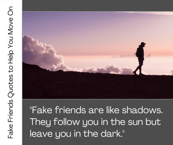 Fake Friends Quotes: Unmasking the Deceptive Connections - Quote Wonders